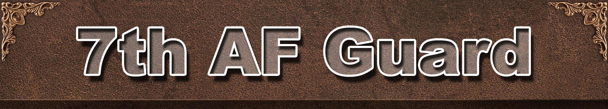 7th Air Force Guard